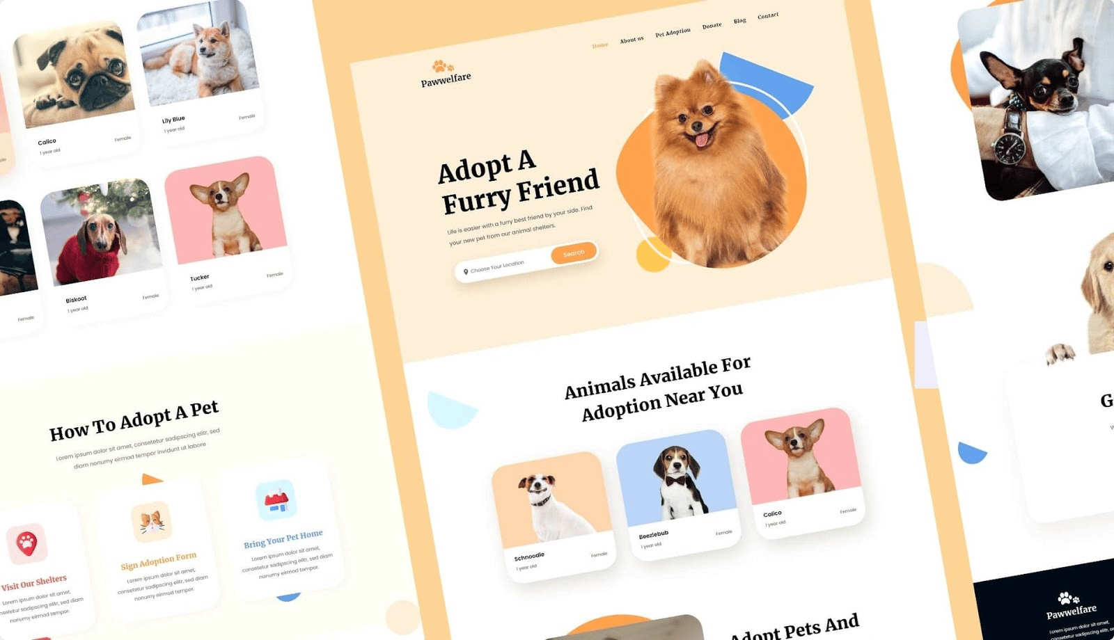 How To Create A Safari Or Zoo Website In WordPress Using Elementor ...