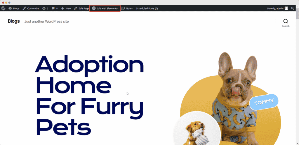 Claymorphism Effect In Elementor What It Is And How To Create One Essential Addons For Elementor