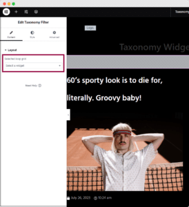 How To Filter Listings With Elementor Taxonomy Filter Widget ...